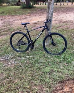 Framed Bikes Website: High-Performance Bikes for Every Rider